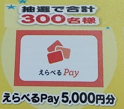 Yahoo!オークション - 懸賞 応募券 ( えらべるPay 5 000円 他