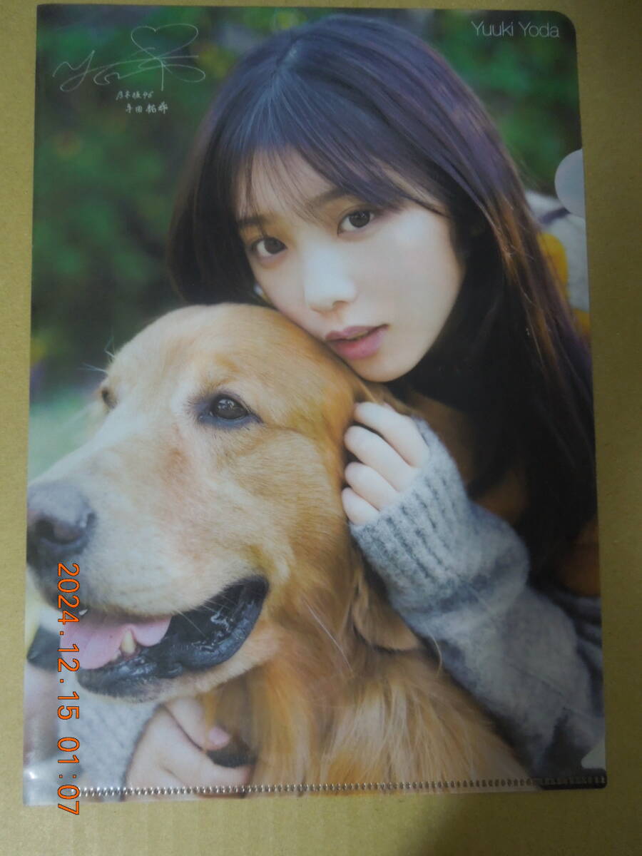 Yahoo!オークション - 与田祐希 (乃木坂46) B5クリアファイル / ENTAME...