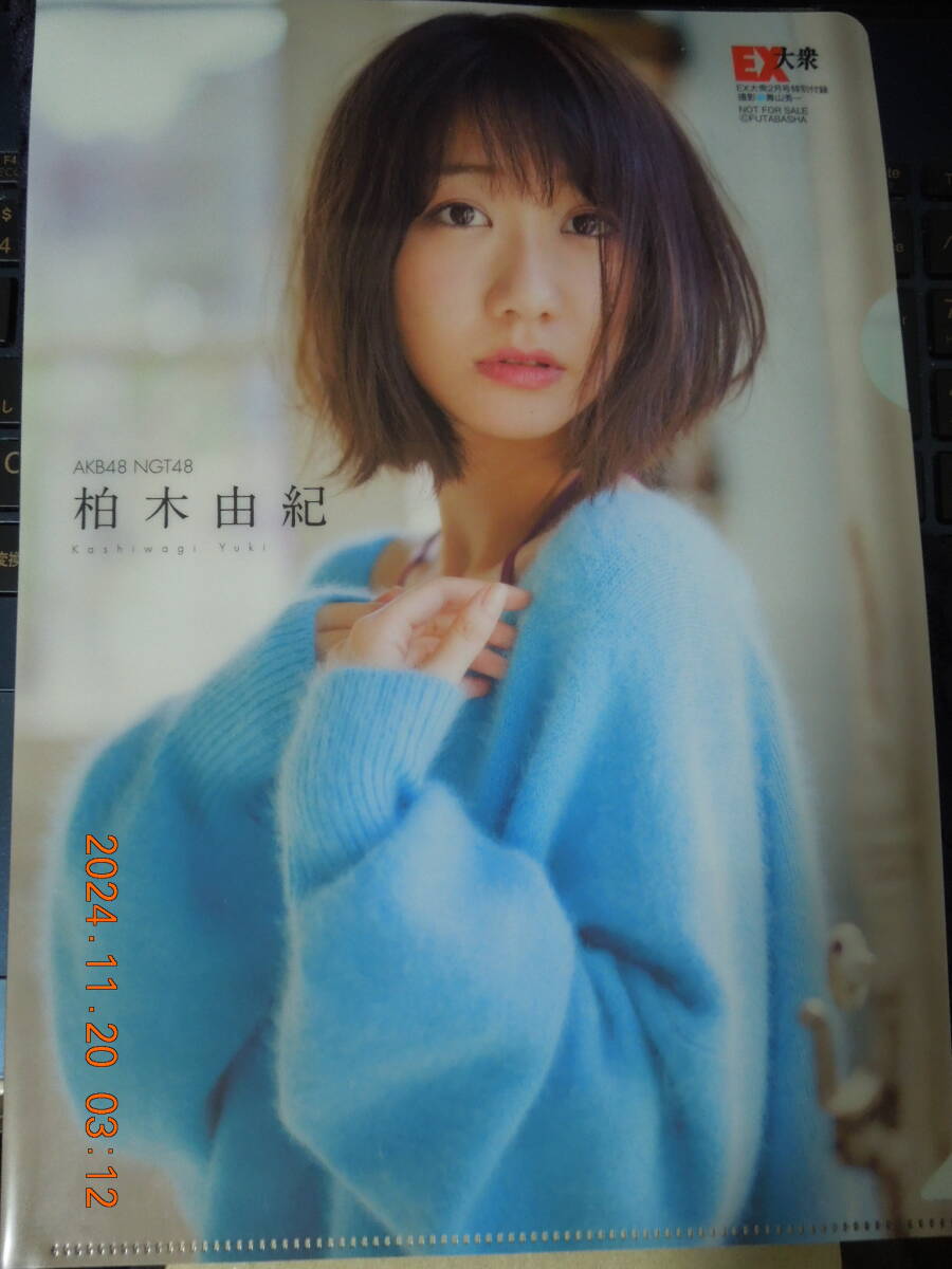 Yahoo!オークション - 柏木由紀 (AKB48/NGT48) B5クリアファイル / EX...