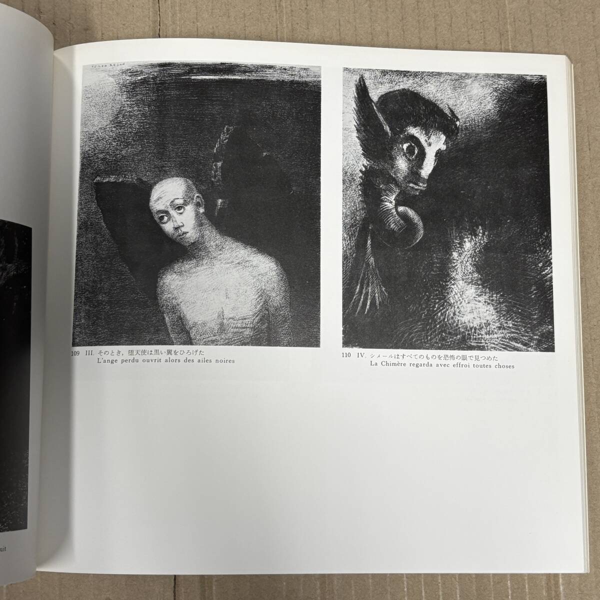 Yahoo!オークション - 0847_20 図録「オディロン・ルドン展」美術書 ...