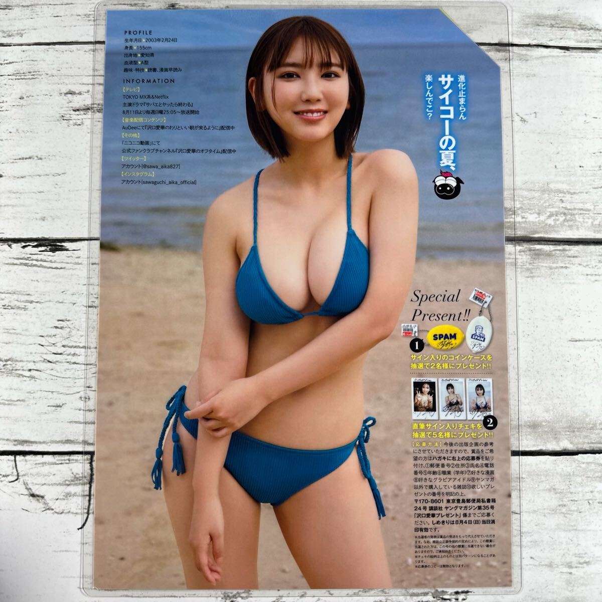高品質ラミネート処理 沢口愛華 ヤングマガジン 2024年35号 雑誌 切り抜き 9P B5フィルム 水着 グラビア アイドル 芸能人 女優(タレント)｜売買されたオークション情報、yahoo ...