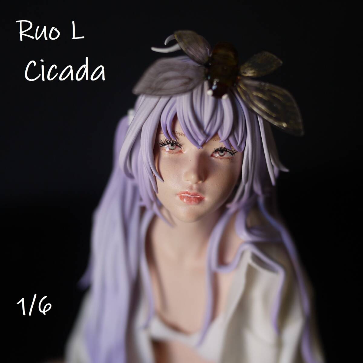 Yahoo!オークション - 1/6 Ryo_L 美少女 ガレージキット「Cicada」完成...
