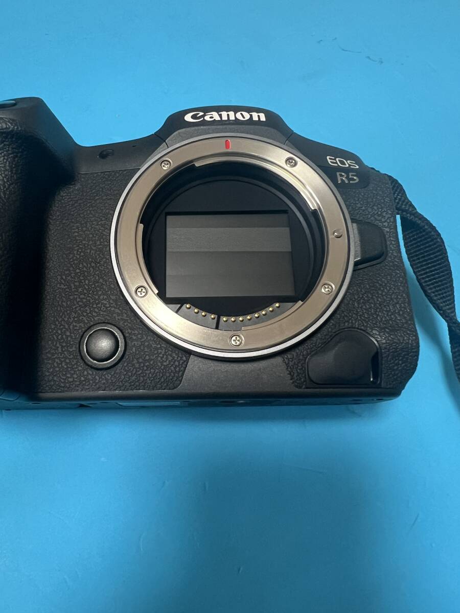 Yahoo!オークション - CANON R5