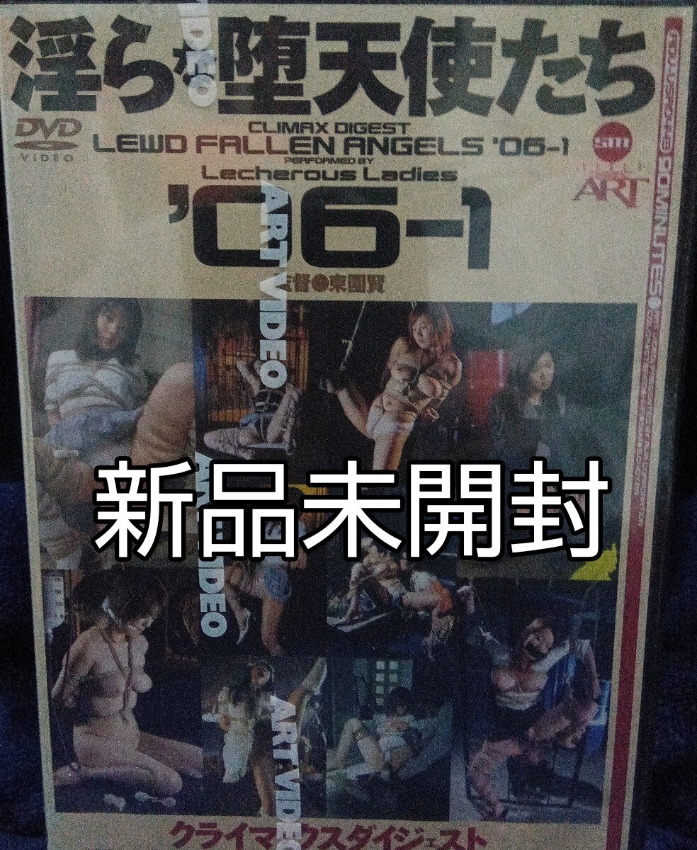 Yahoo!オークション - 新品未開封 淫らな堕天使たち06−1アヴァ受審...