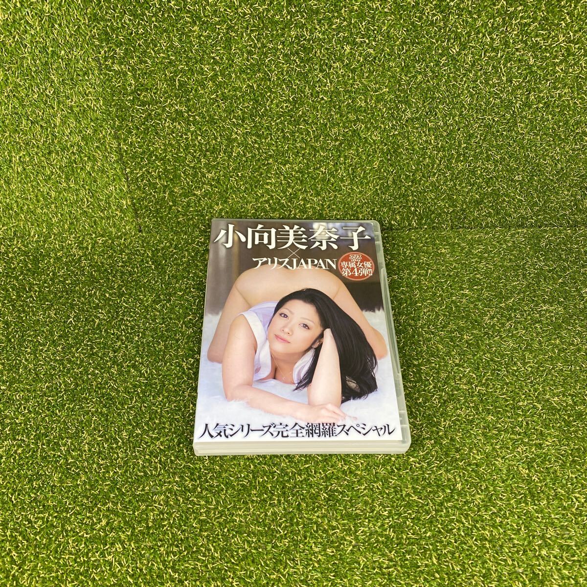 Yahoo!オークション - 小向美奈子×アリスJAPAN 人気シリーズ完全網羅...