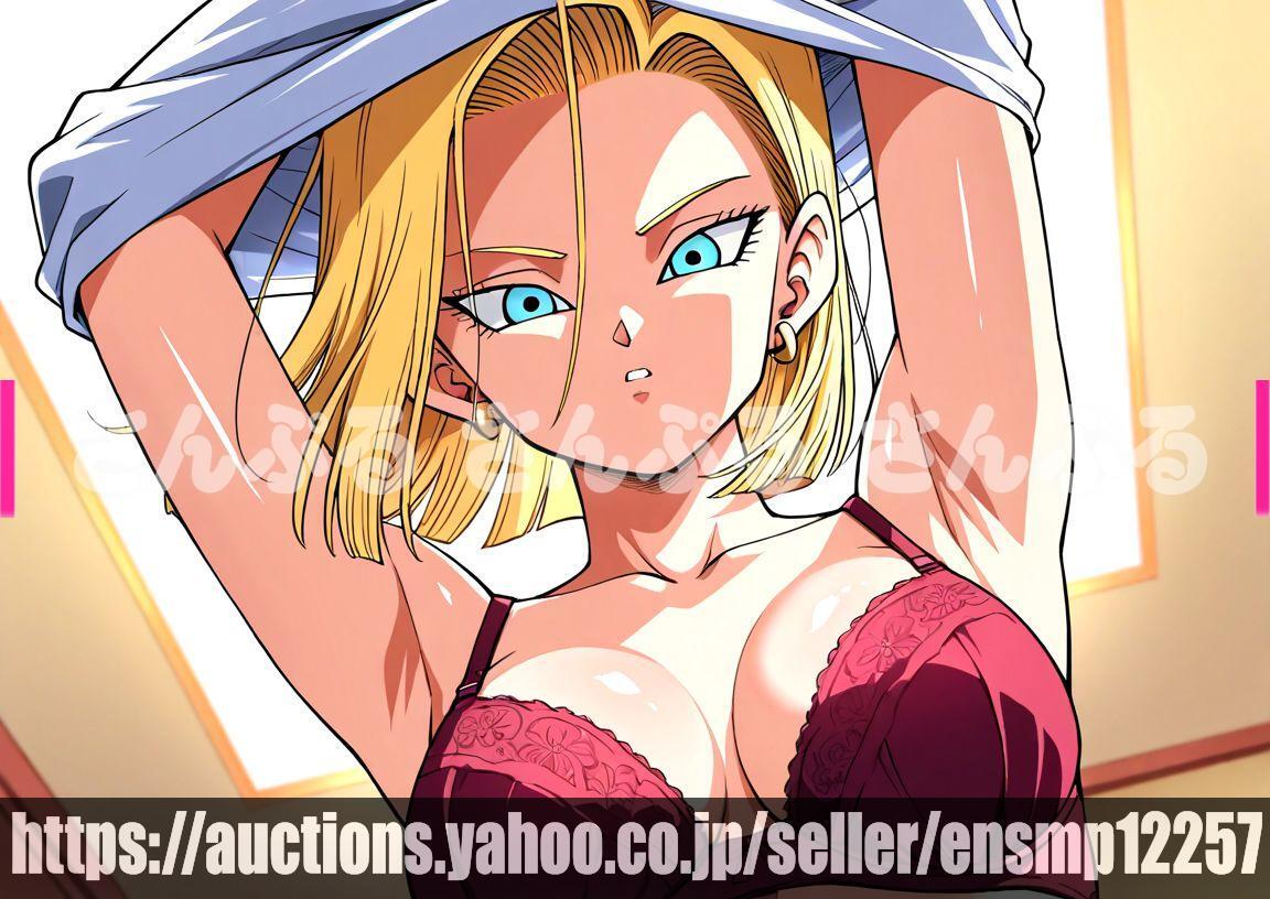 Yahoo!オークション - A0349 0348 コレクション 人造人間18号 ドラゴン...