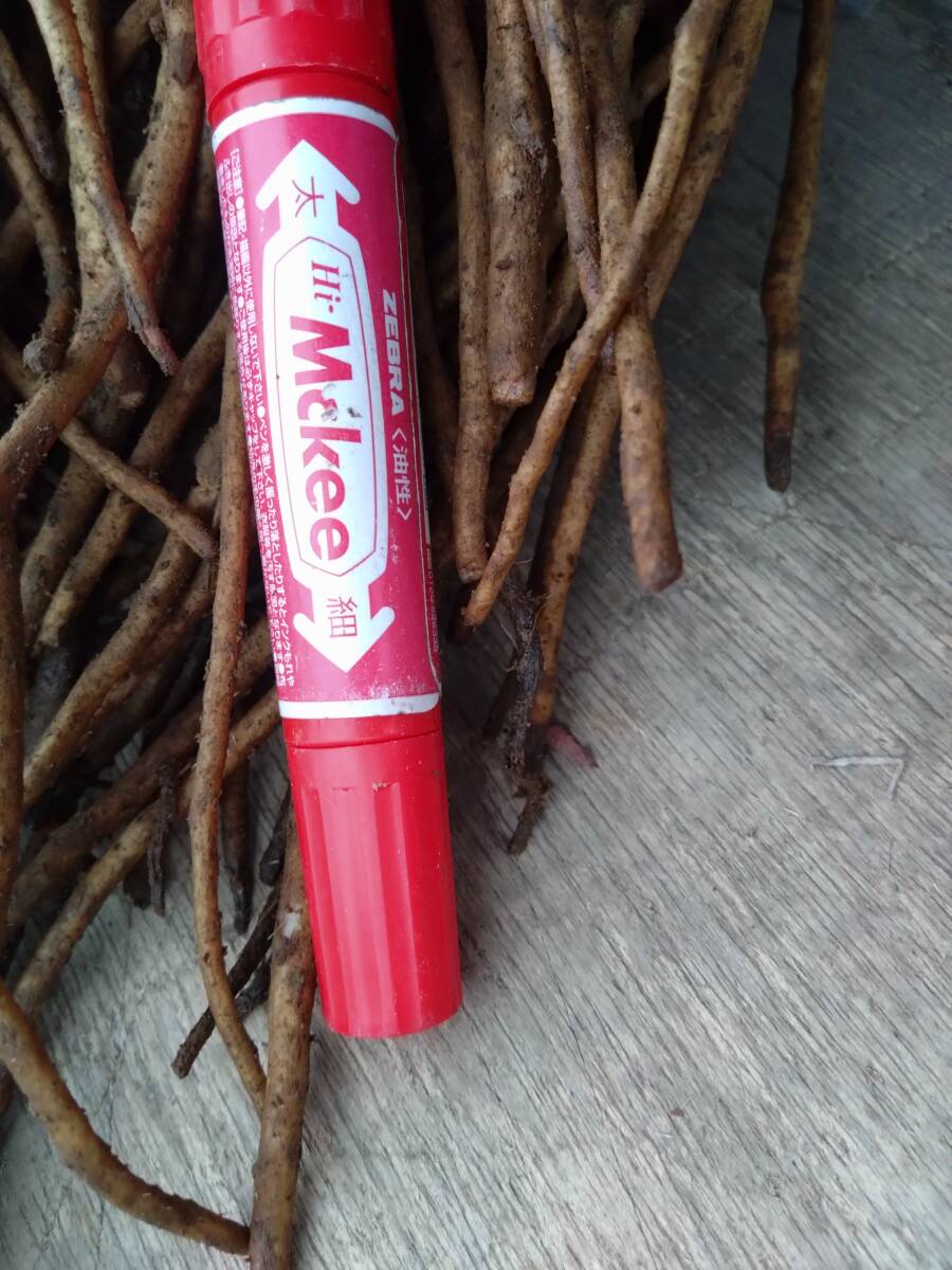 Yahoo!オークション - 十勝産土付きごぼう 2Sサイズ10kg