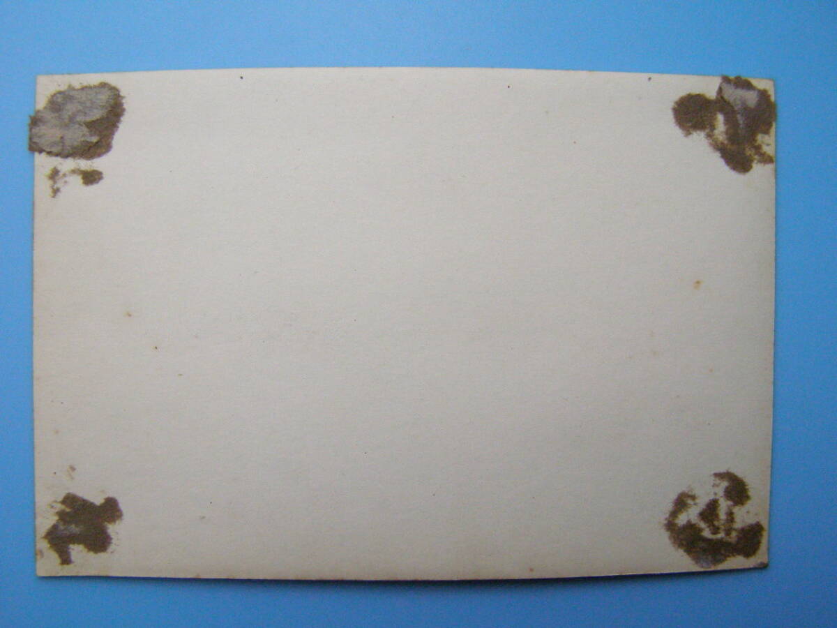 Yahoo!オークション - (A45)110 写真 古写真 戦前 高島屋 ショーケース...