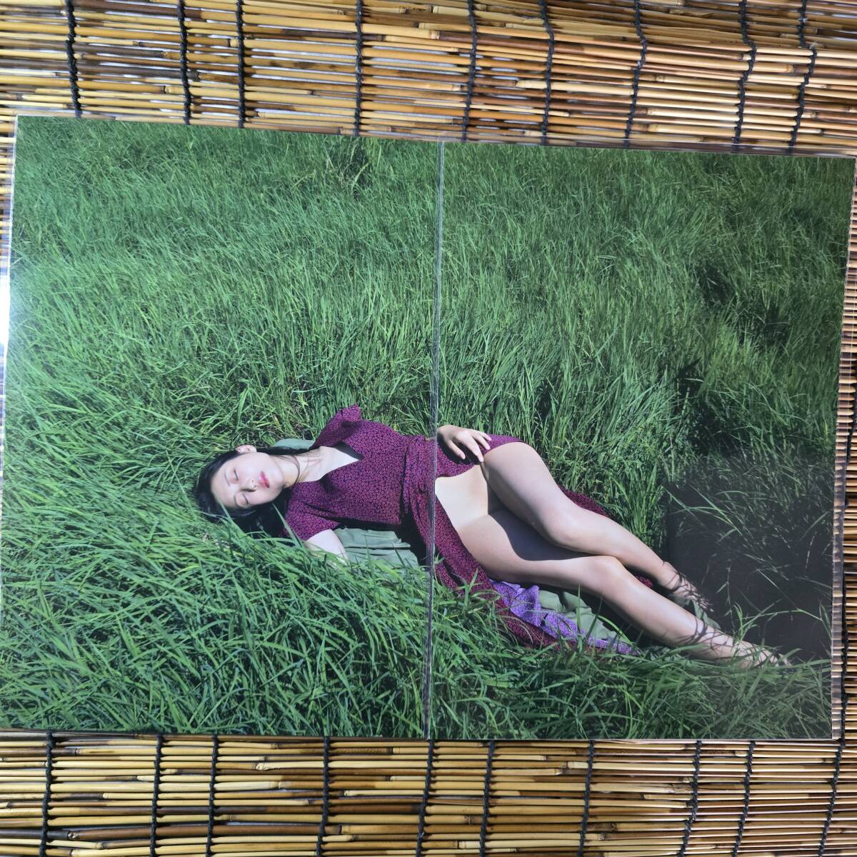 Yahoo!オークション - 【高品質厚手150μラミネート加工】壇蜜 水着...