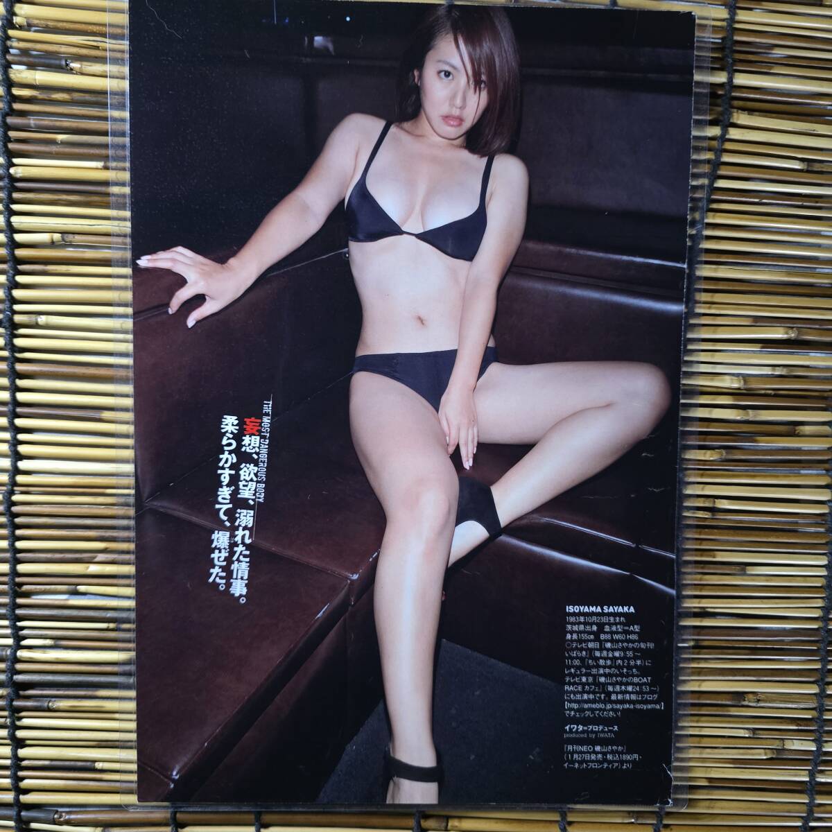 高品質厚手150μラミネート加工 磯山さやか 雪丸純子 希志あいの 水着 B5 雑誌切り抜き6ページ グラビアアイドル l51(タレント)｜売買されたオークション情報、yahooの商品情報を ...