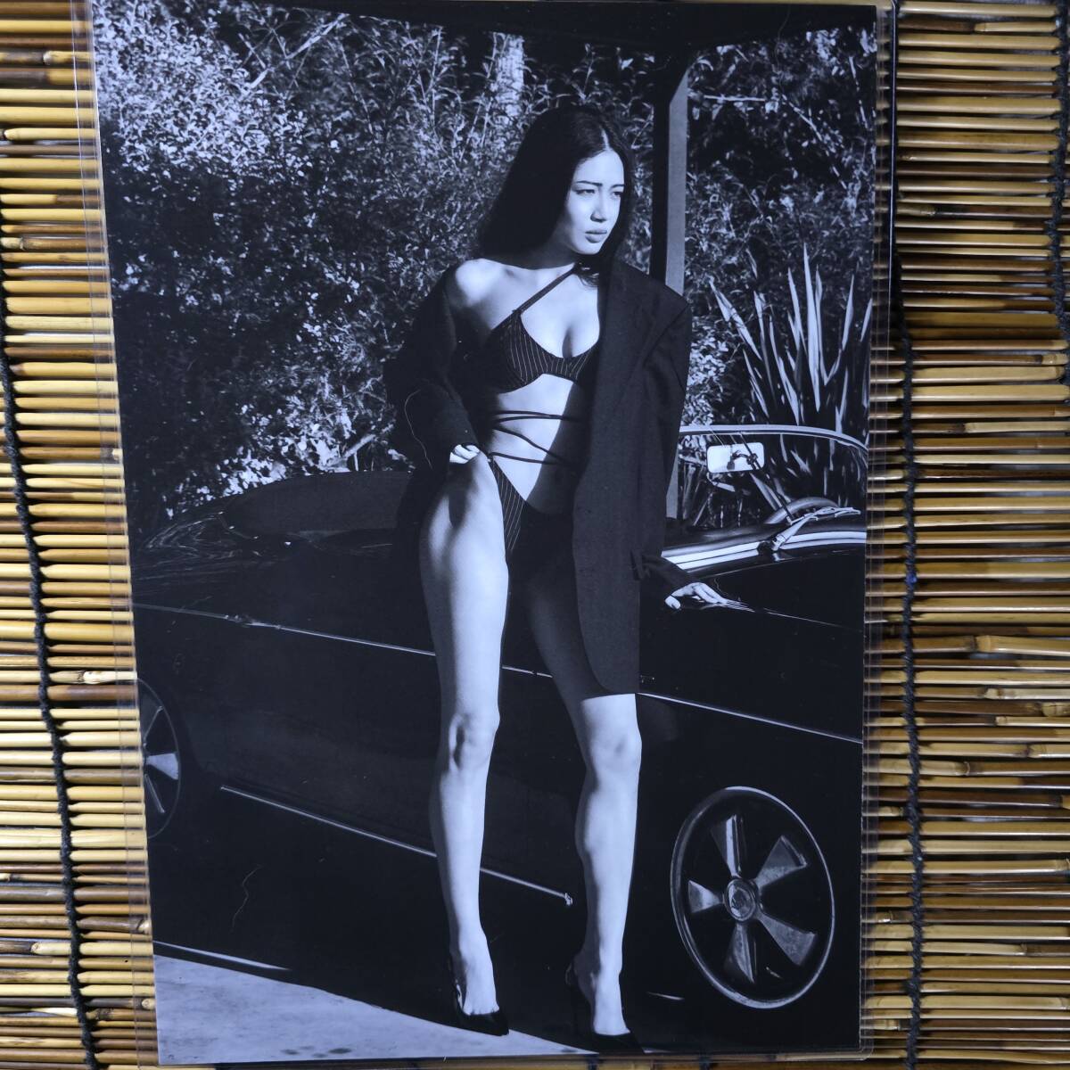 Yahoo!オークション - 【高品質厚手150μラミネート加工】GABBY 水...