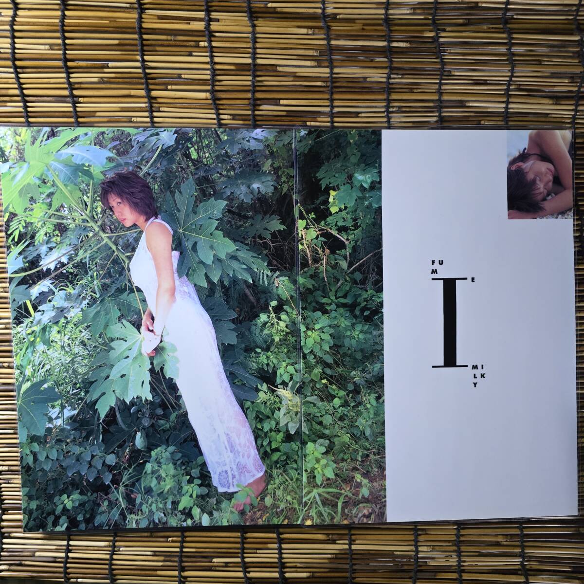 Yahoo!オークション - 【高品質厚手150μラミネート加工】細川ふみえ...