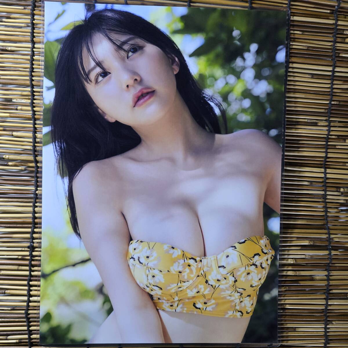 Yahoo!オークション - 【高品質超厚手250μラミネート加工】田中美...