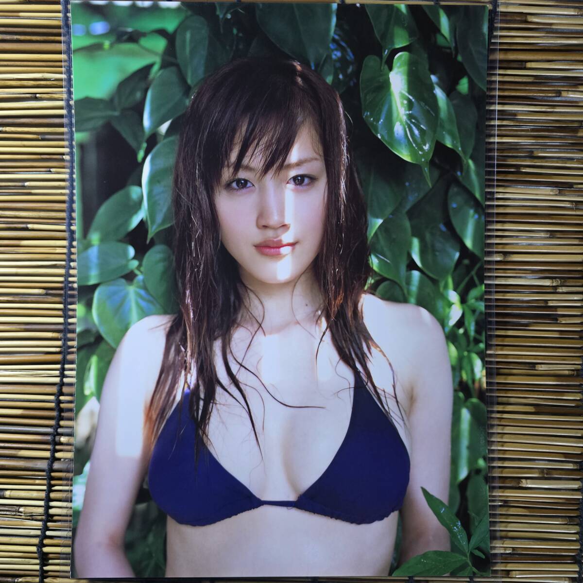 Yahoo!オークション - 【高品質厚手150μラミネート加工】綾瀬はる...