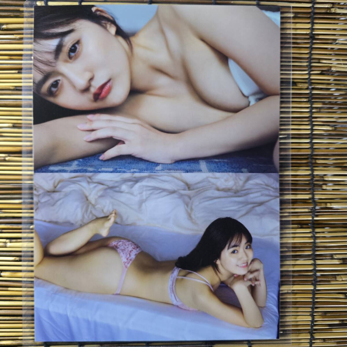 Yahoo!オークション - 【高品質厚手150μラミネート加工】豊田ルナ ...