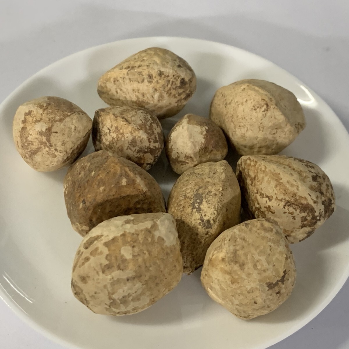 Yahoo!オークション - s283種子10粒Moringa drouhardii モリンガ これ...