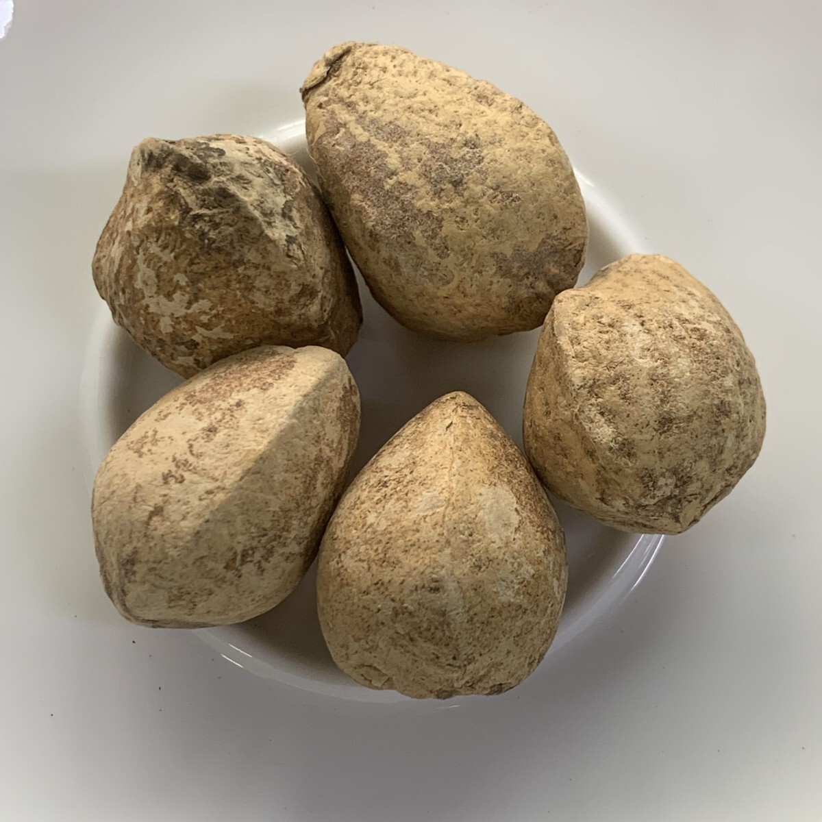 Yahoo!オークション - s53種子5粒Moringa drouhardii モリンガ これを...