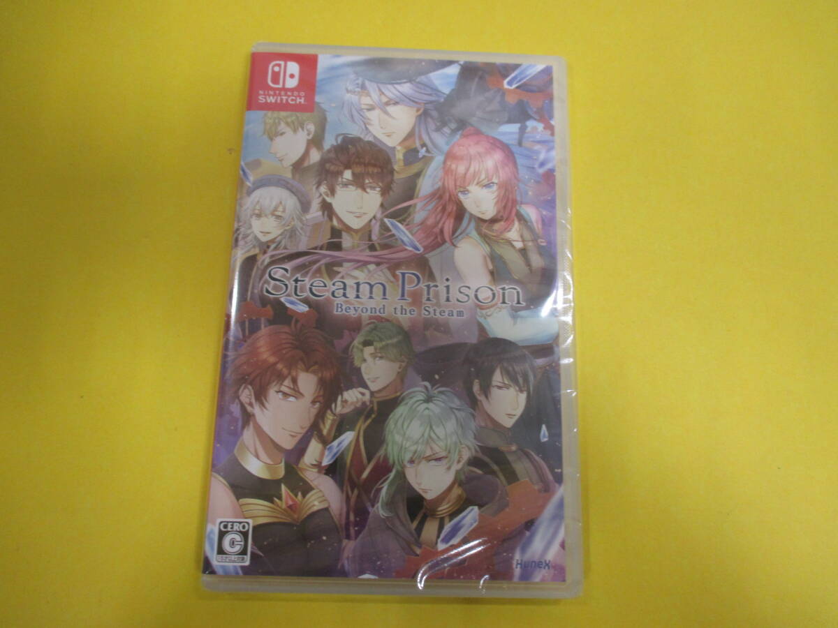 日本代購代標第一品牌【樂淘letao】－054)未開封 Switchソフト スイッチソフト スチームプリズン -Beyond the Steam-