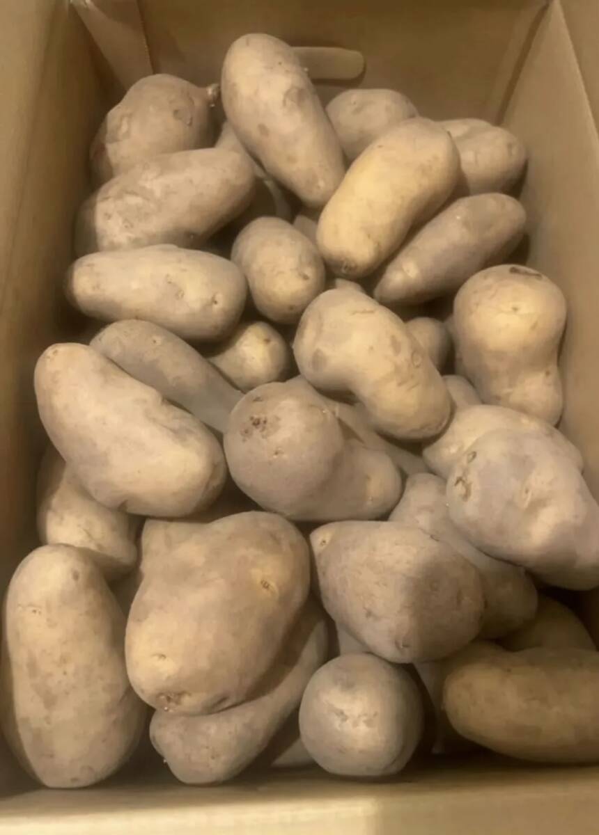 Yahoo!オークション - メークイン