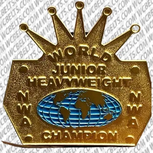 Yahoo!オークション - 海外 限定品 新品 高品質 NWA世界ジュニアJr.ヘ...