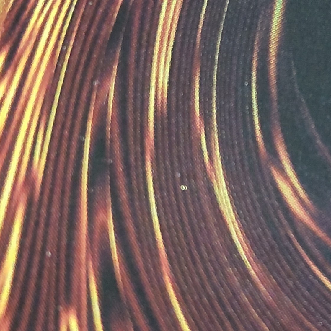 Yahoo!オークション - RD/ORP2-JP062 ORR セブンスロード・チャームウ...