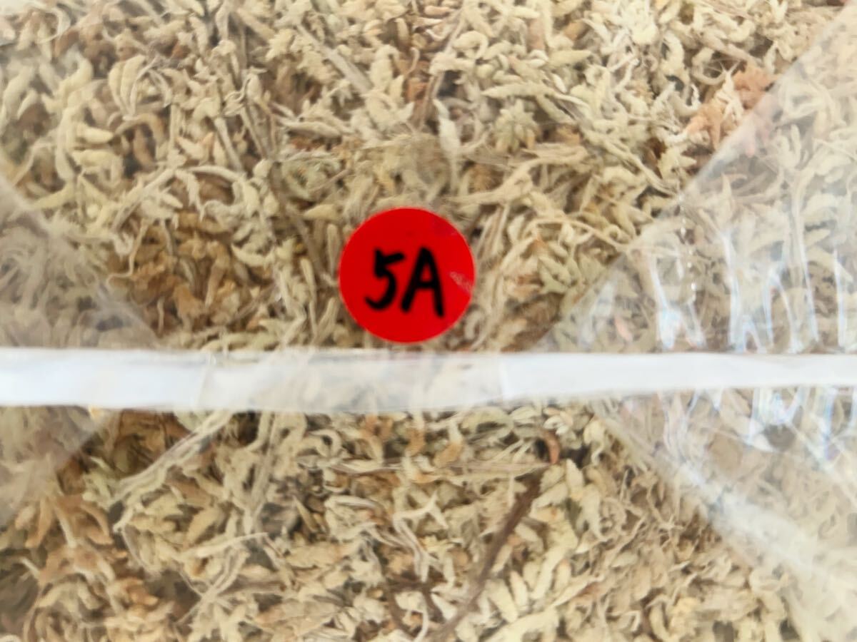Yahoo!オークション - 水苔 ニュージーランド産 5A(AAAAA) 3kg 乾燥水...