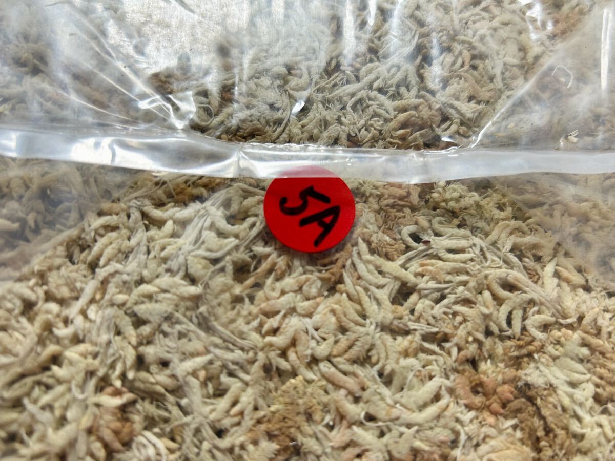 Yahoo!オークション - 水苔 ニュージーランド産 5A(AAAAA) 3kg 乾燥水...