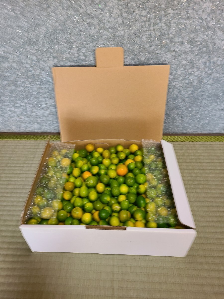 Yahoo!オークション - 無農薬 金柑キンカン正味5Kgです