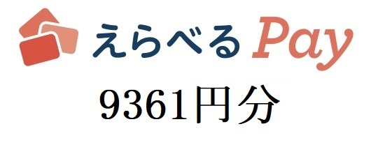 Yahoo!オークション - えらべるpay 9361円分 pontaポイント paypay等