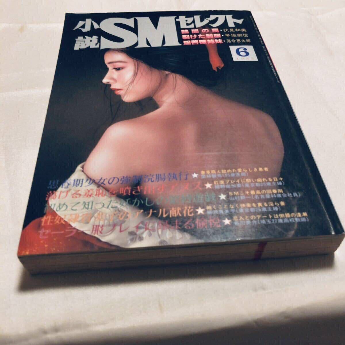日本代購代標第一品牌【樂淘letao】－小説SMセレクト 昭和60年 1985年 6月号 団鬼六 伏見和美 落合恵太郎 早坂宗信 他 SM 調教 緊縛 縄
