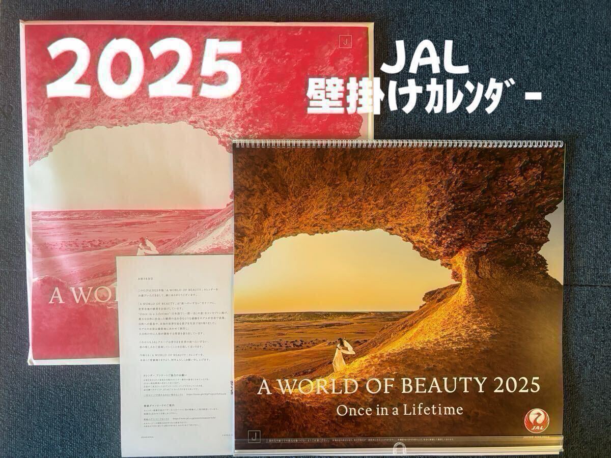 Yahoo!オークション - 【新品】JAL 2025 日本航空 壁掛けカレンダー 普...