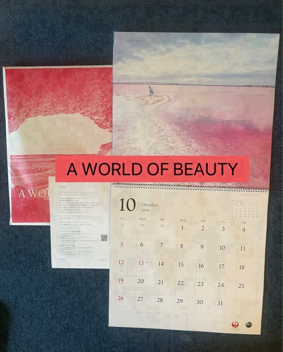 Yahoo!オークション - 【新品】JAL 2025 日本航空 壁掛けカレンダー 普...