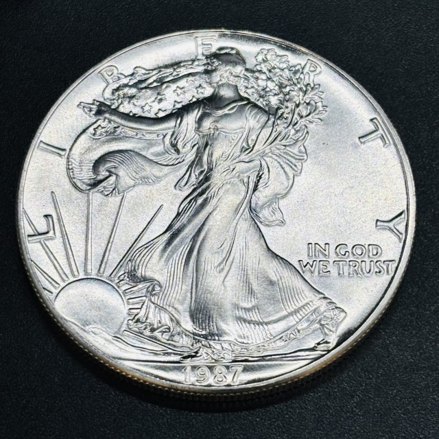 Yahoo!オークション - ウォーキング リバティ コイン 田中貴金属 SV100...