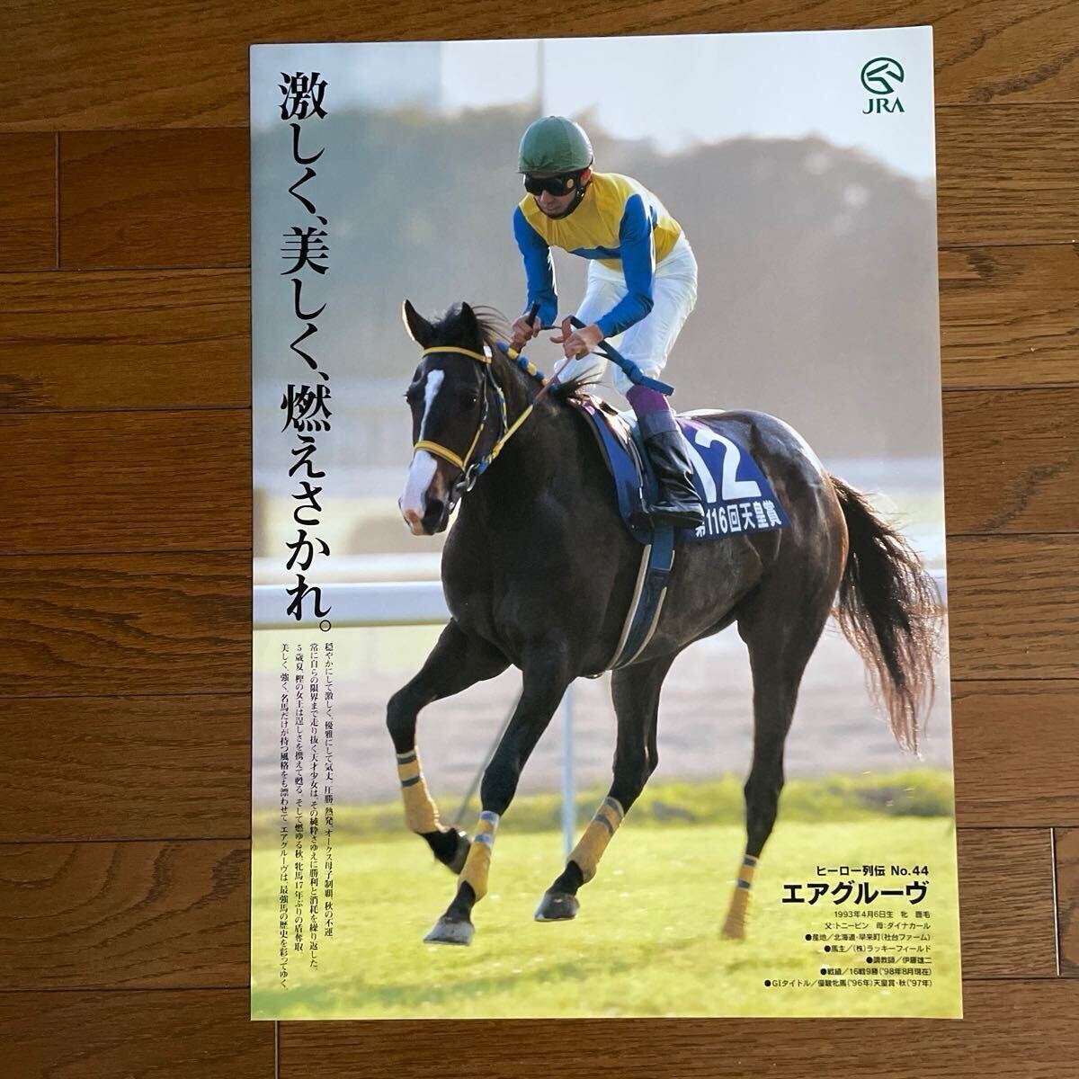 Yahoo!オークション - JRA ヒーロー列伝 No.44 エアグローヴ B3 ポスター