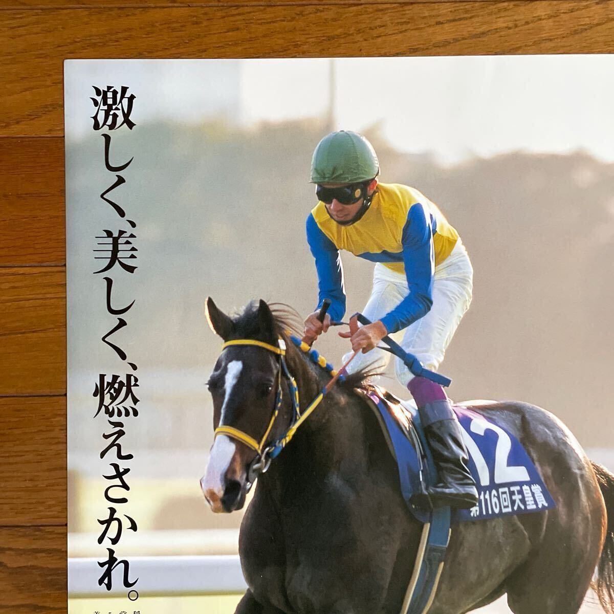Yahoo!オークション - JRA ヒーロー列伝 No.44 エアグローヴ B3 ポスター