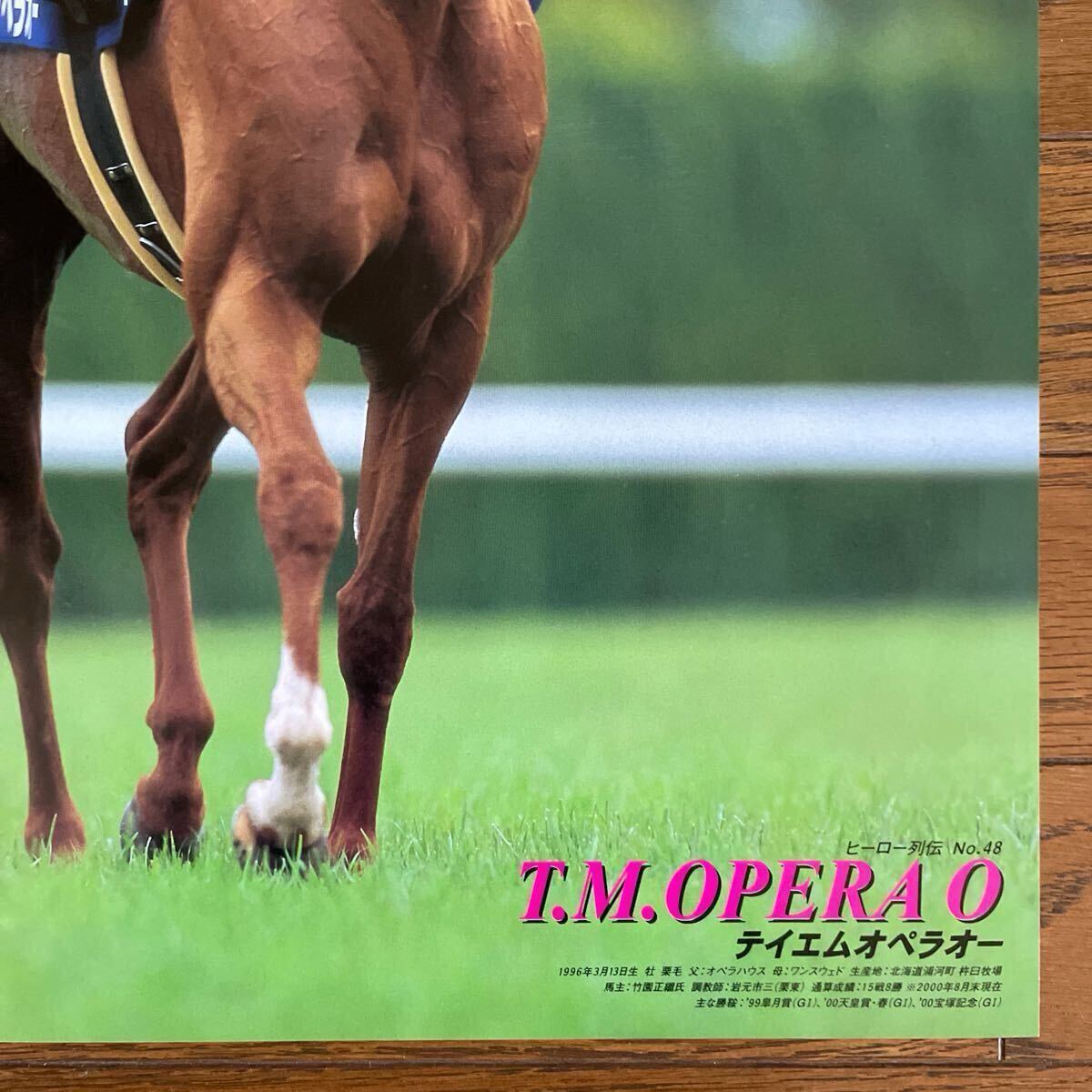 Yahoo!オークション - JRA ヒーロー列伝 No.48 テイエムオペラオー B3 ...