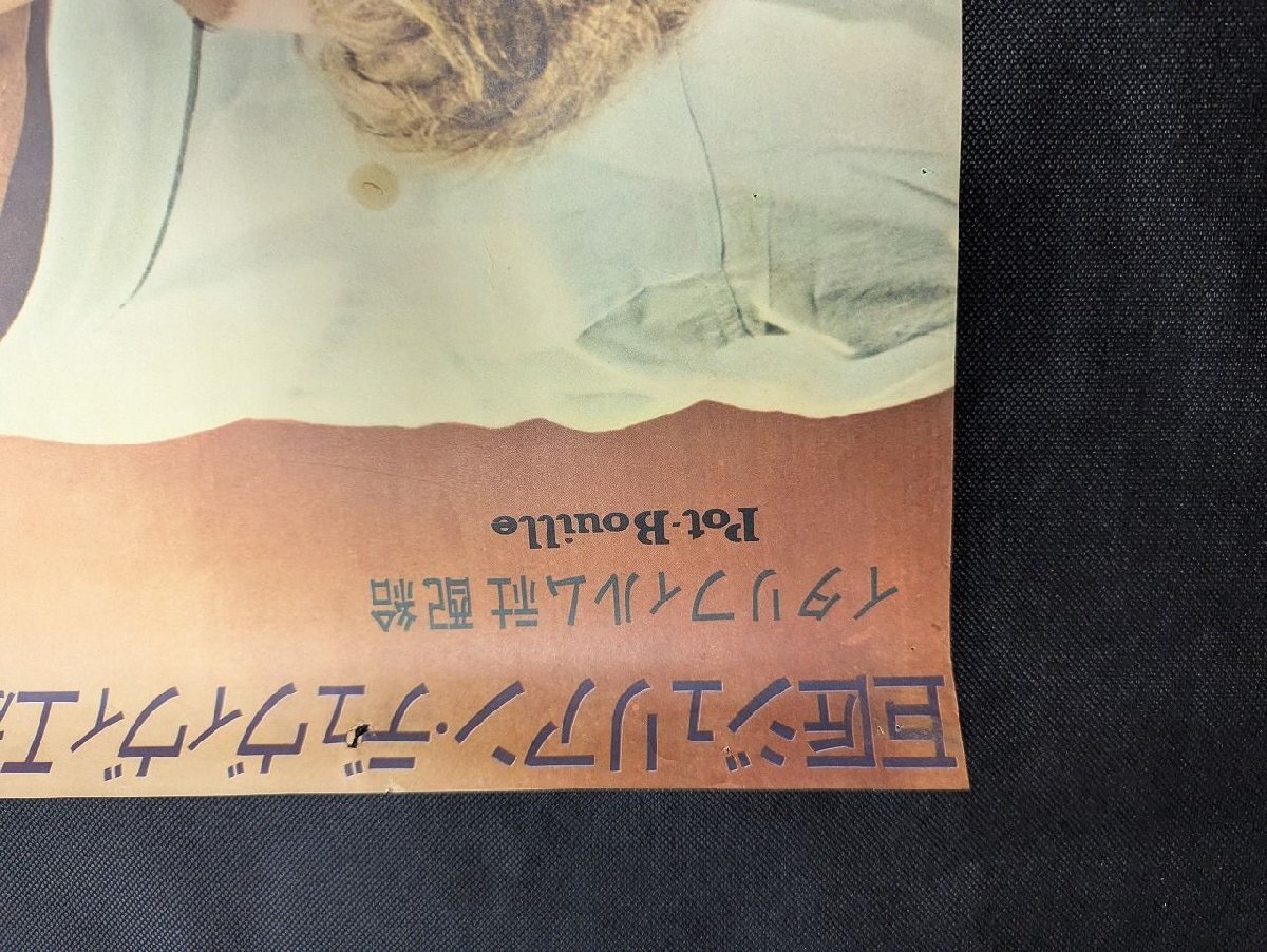 Yahoo!オークション - 長 M428/B2判映画ポスター/【奥様ご用心】 ジュ...