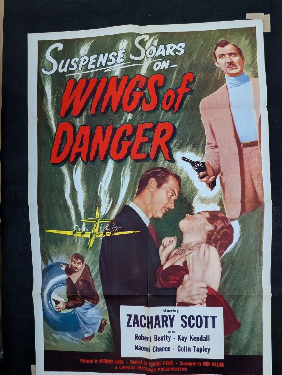 Yahoo!オークション - 長E142/US版1sh 映画ポスター【 Wings of Danger...