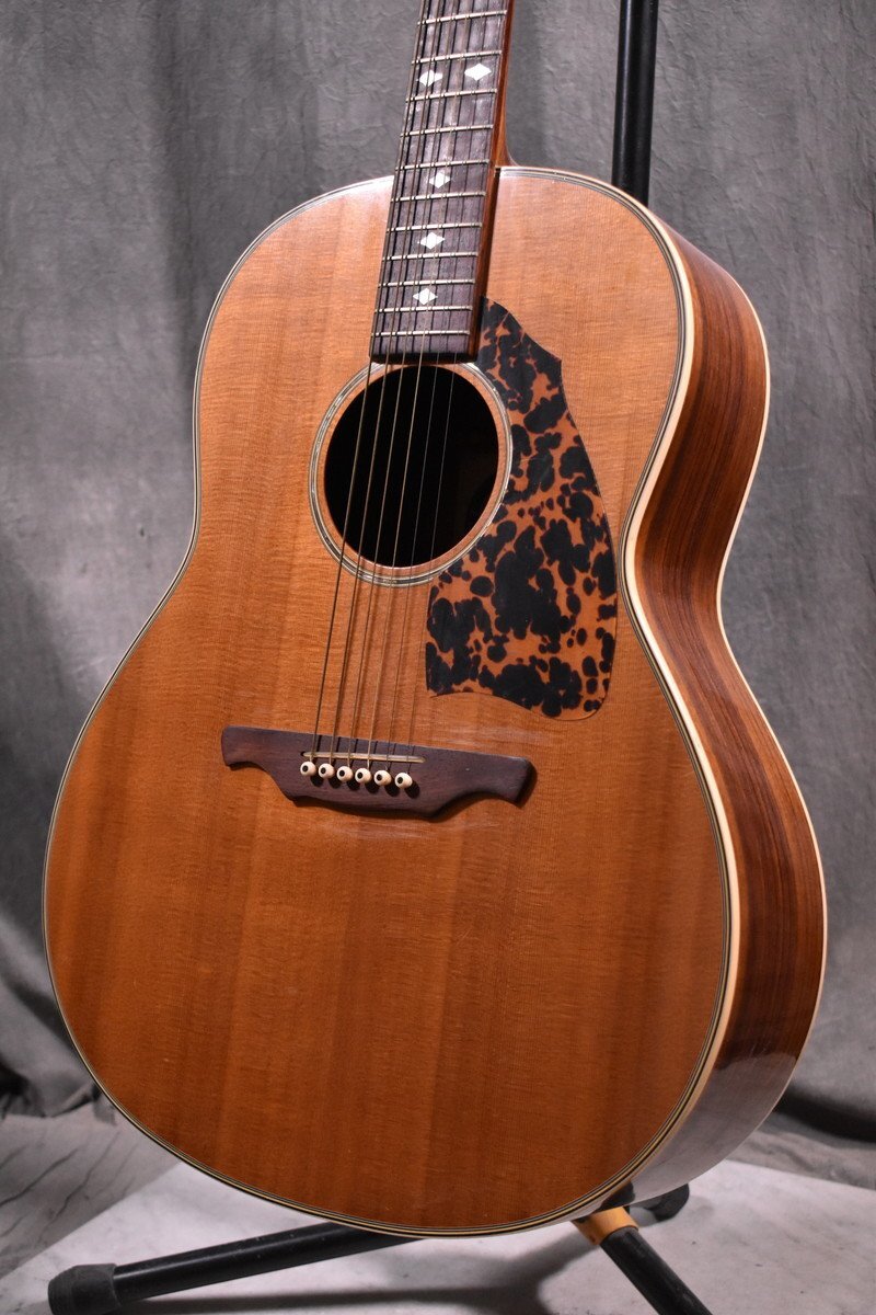 Alvarez/アルバレス アコースティックギター Model 2551(本体)｜売買されたオークション情報、yahooの商品情報をアーカイブ公開 - オークファン（aucfan.com）