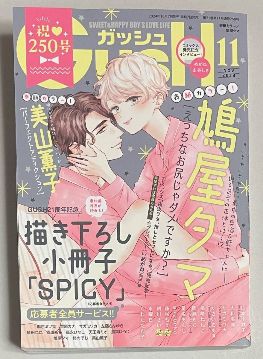 Yahoo!オークション - 雑誌 【 GUSH ガッシュ 2024年11月号 】 鳩...