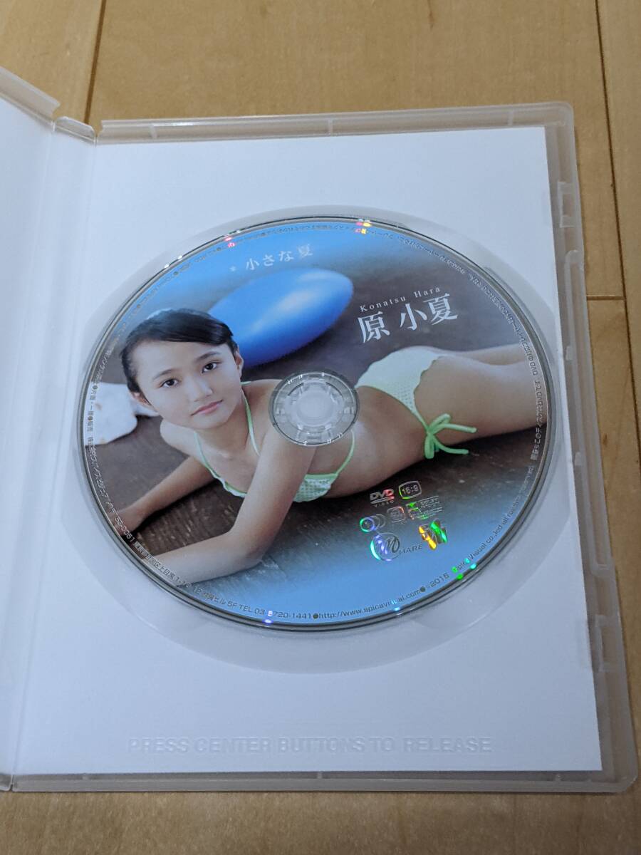 Yahoo!オークション - 小さな夏 原小夏 DVD