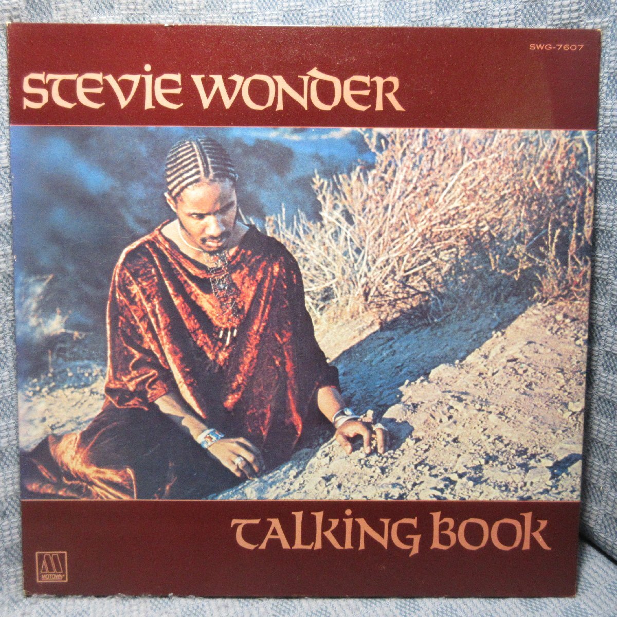 Yahoo!オークション - VA360 SWG-7607 スティーヴィー・ワンダー STEVI...