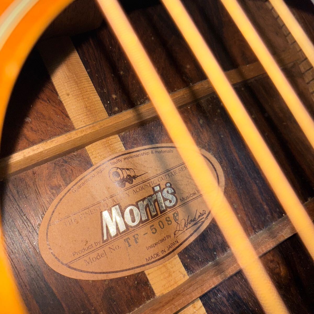 Yahoo!オークション - Morris TF-50SP