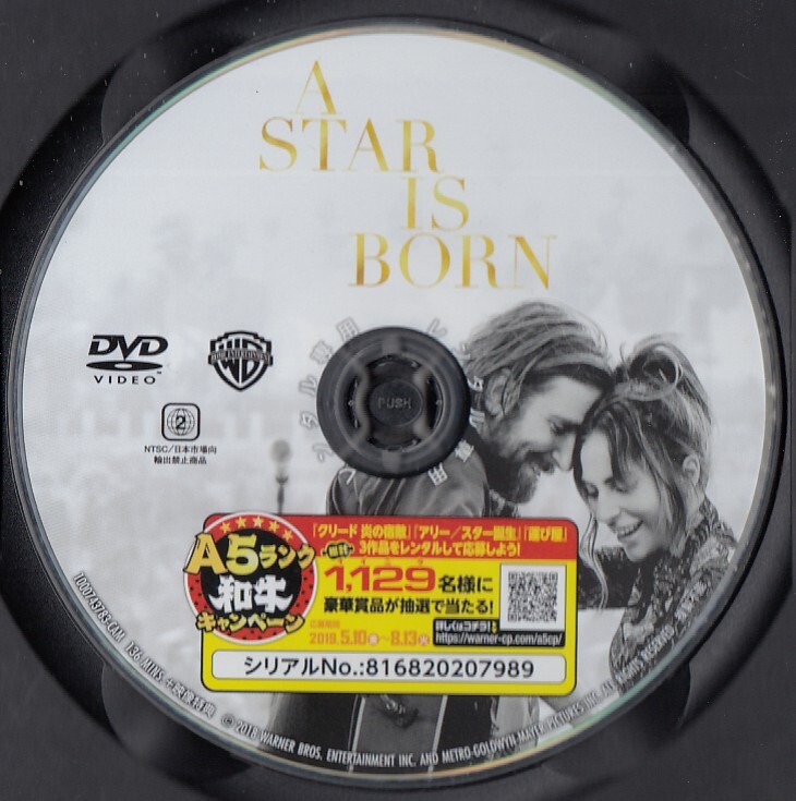 Yahoo!オークション - 5298 アリー/スター誕生 レディー・ガガ