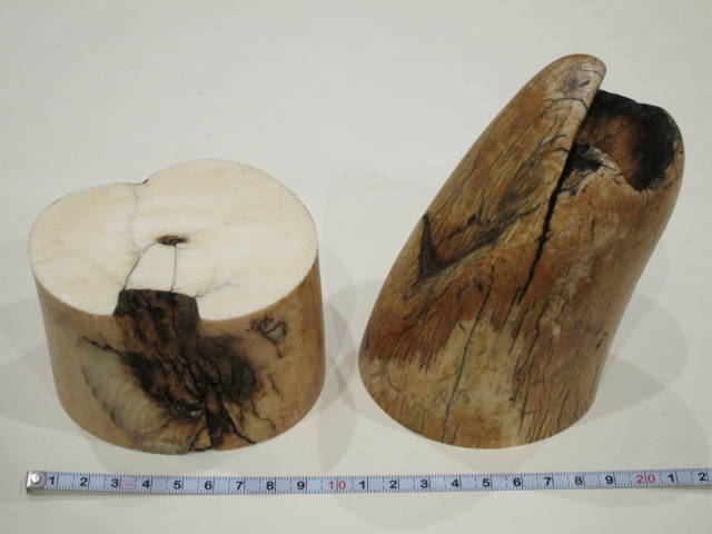 Yahoo!オークション - 象牙風材 625gと585g マンモス牙