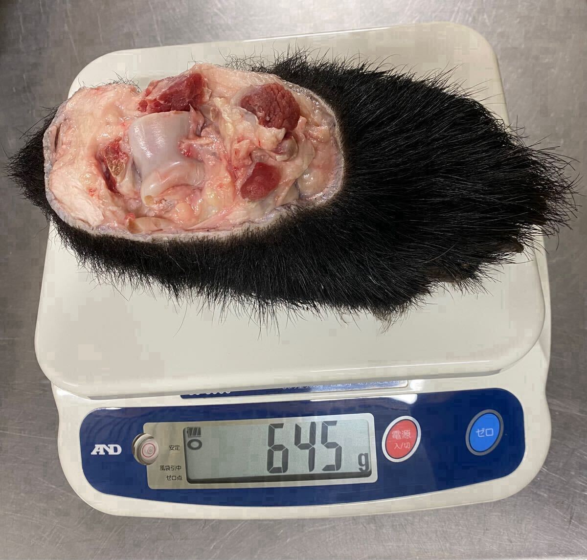 Yahoo!オークション - 熊(ツキノワグマ)熊の手 ジビエ 645g