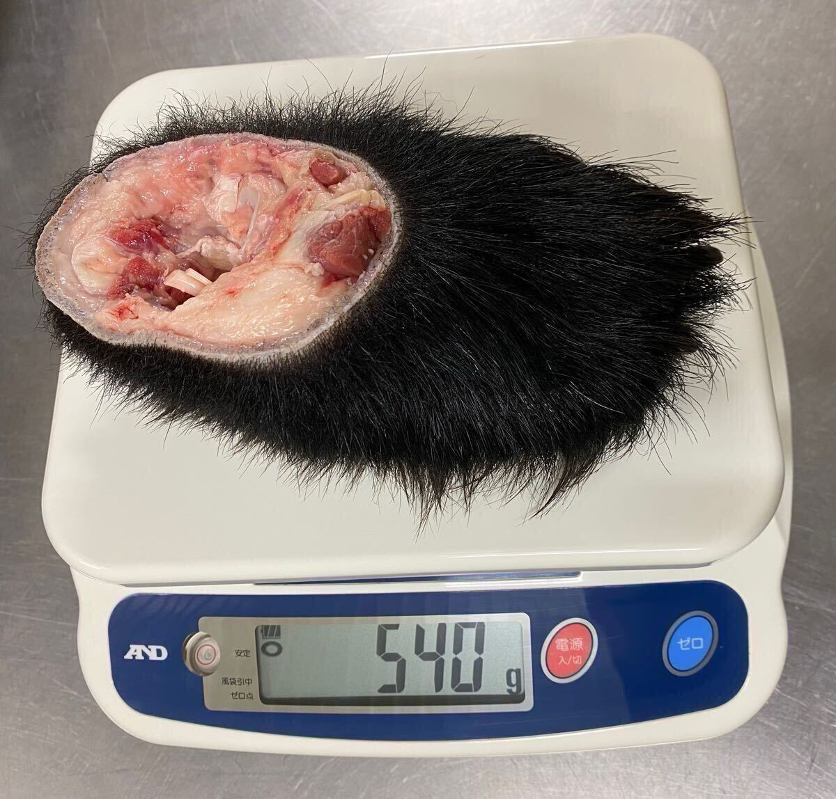 Yahoo!オークション - 熊(ツキノワグマ) 熊の手 ジビエ 540g