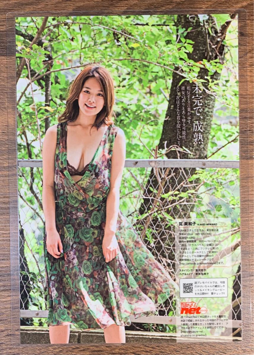 日本代購代標第一品牌【樂淘letao】－【厚手ラミネート加工】筧美和子 水着 雑誌切り抜き 6ページ サイズB5 週プレ 2013 NO.38 アイドル 女優 芸能人 【グラビア】-G1