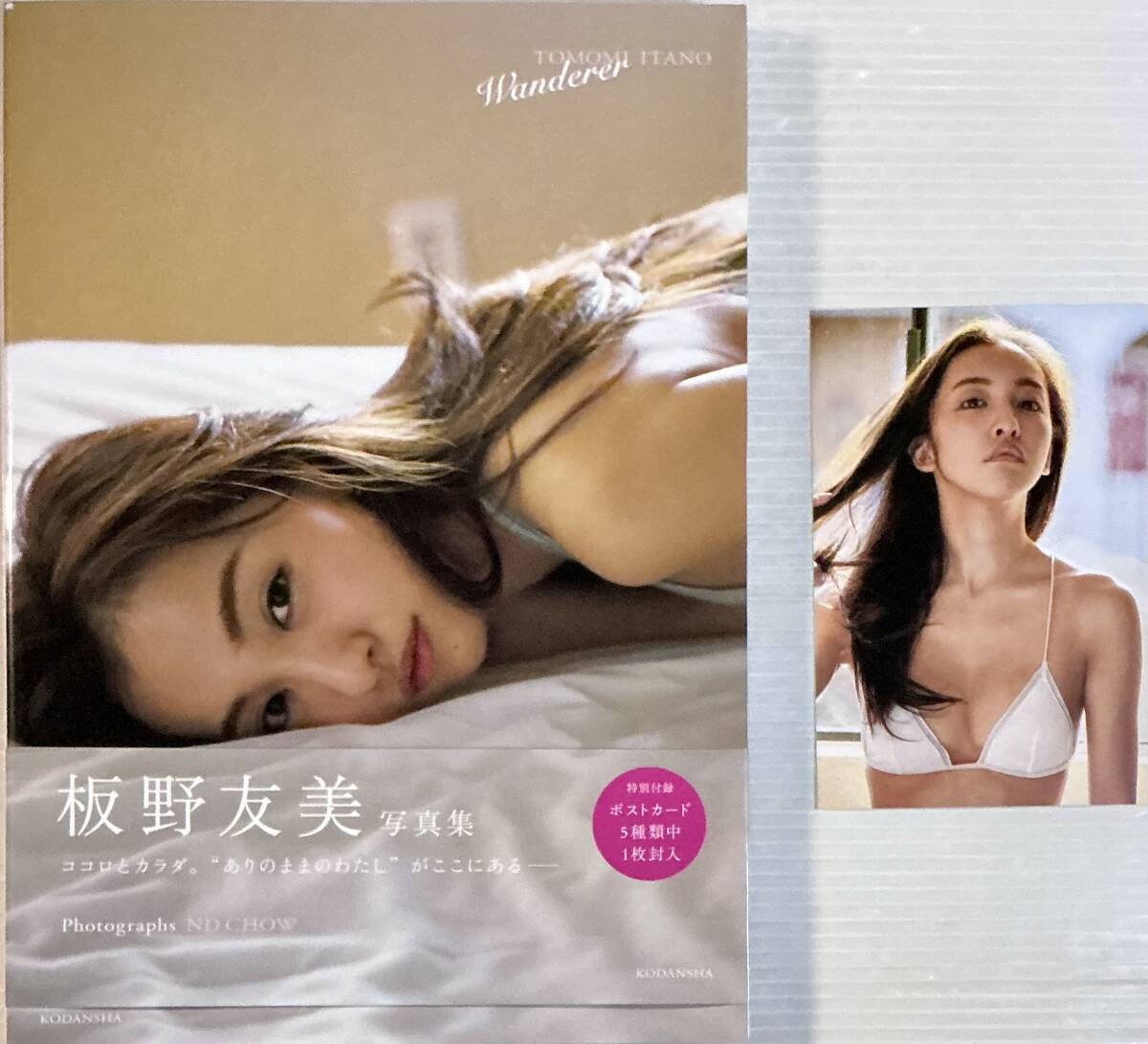 Yahoo!オークション - 板野友美 写真集 Wanderer ポストカード付 AKB4...