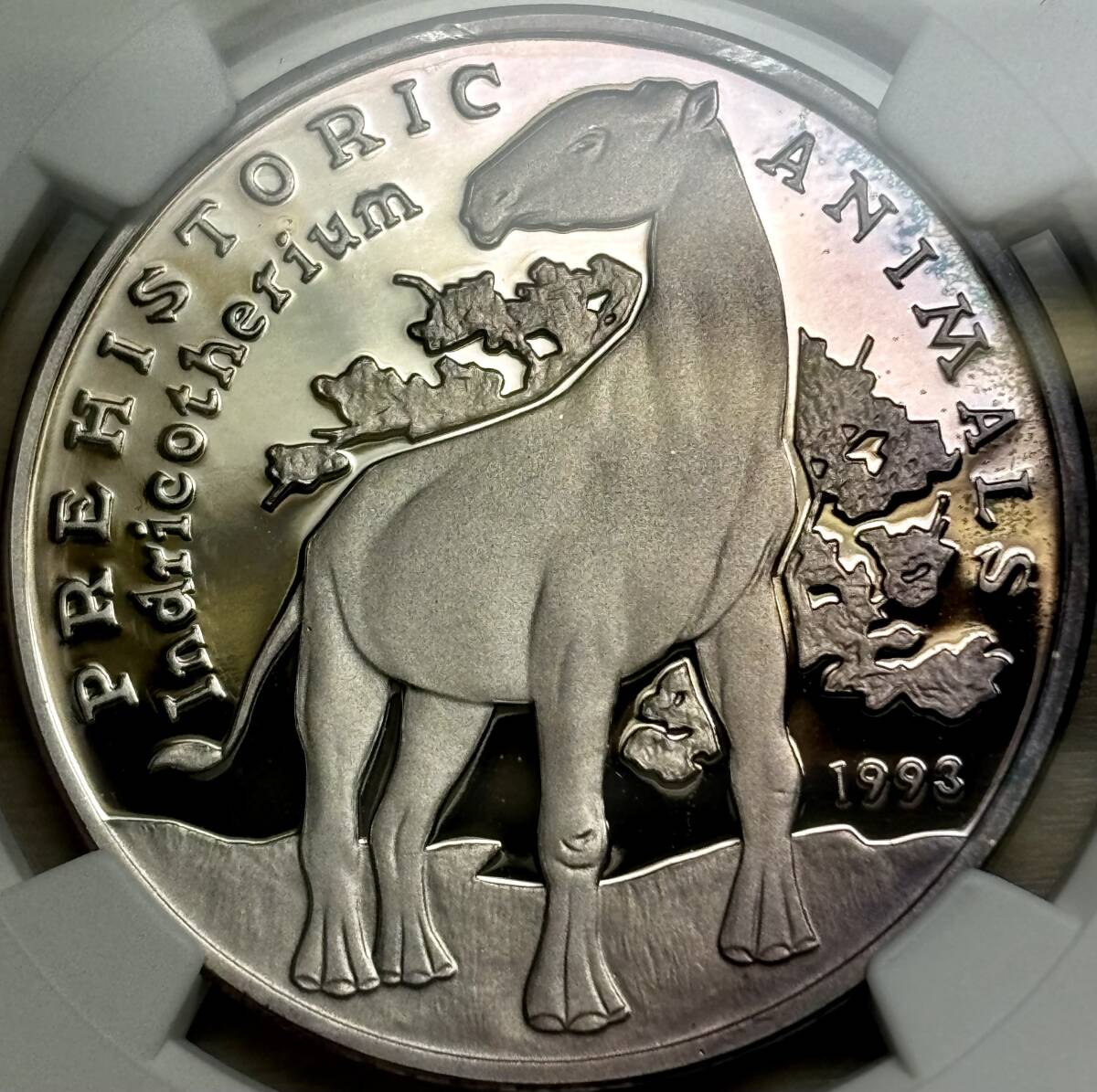 Yahoo!オークション - 【カンボジア大型銀貨】(NGC-PF68 ULTRA CAMEO 1...